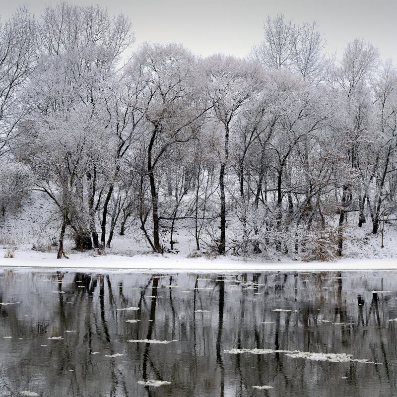 Winter River and Trees in Winter Season Stock Image - Image of wood ...