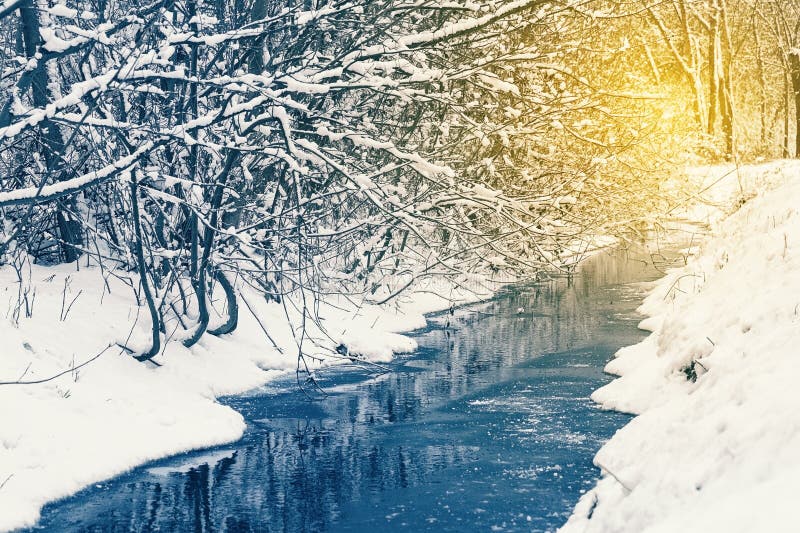 Winter River Under Trees Covered with Snow Stock Photo - Image of river ...