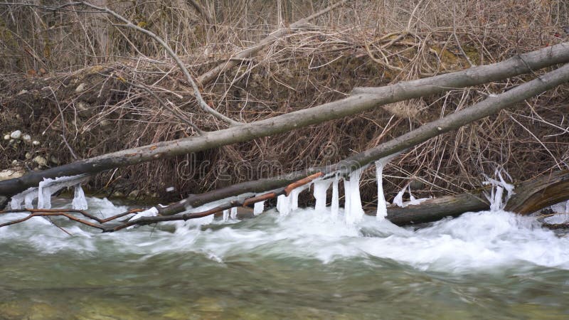 Winter River, Water Flowing Under Ice Covered Trees and Branches ...