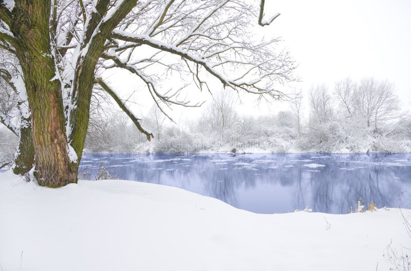 Winter riwer stock image. Image of forest, bright, snow - 23846431