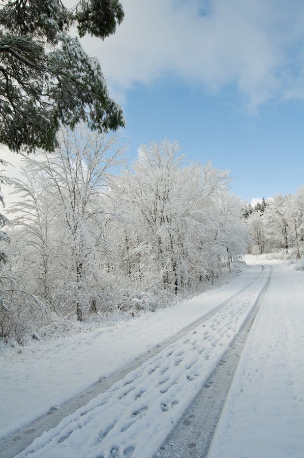 Winter road stock image. Image of trees, road, winter - 10279899
