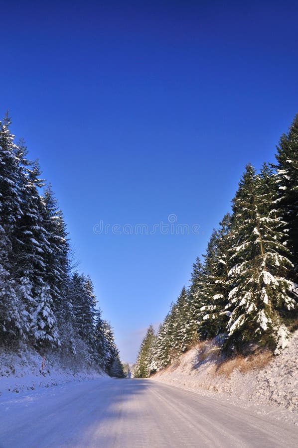 Winter road stock photo. Image of peninsula, cold, state - 11144512
