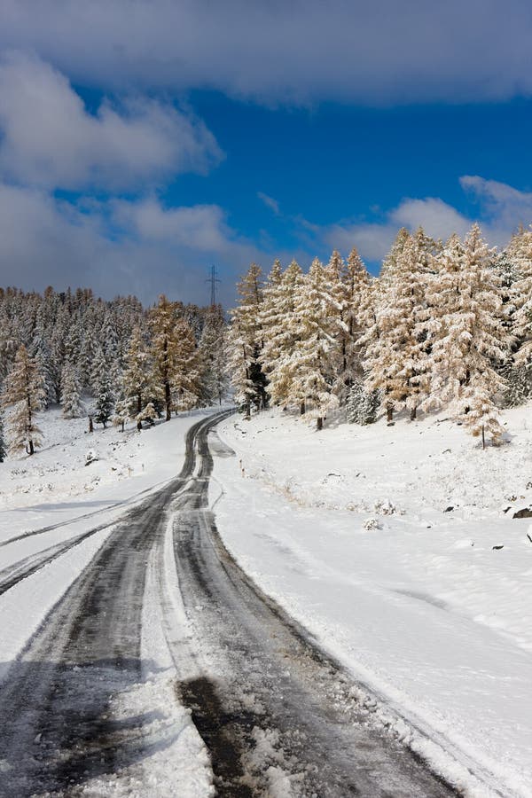 Winter road stock image. Image of cold, beauty, skies - 11261695