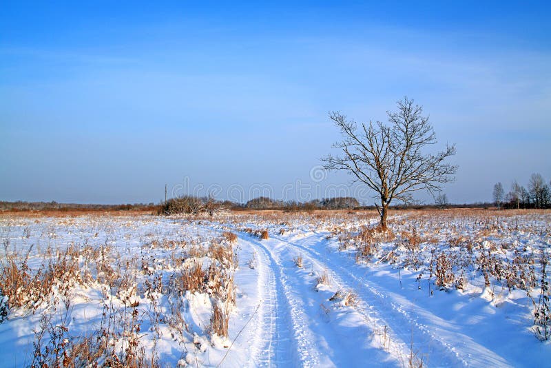 Winter road stock image. Image of harmony, grey, area - 12916223