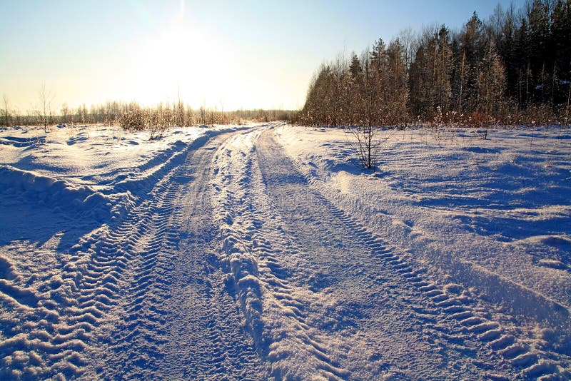 Winter road stock photo. Image of branch, forest, nature - 13196762