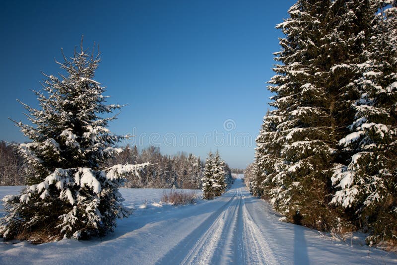 Winter road stock photo. Image of beautiful, lane, cold - 29705562
