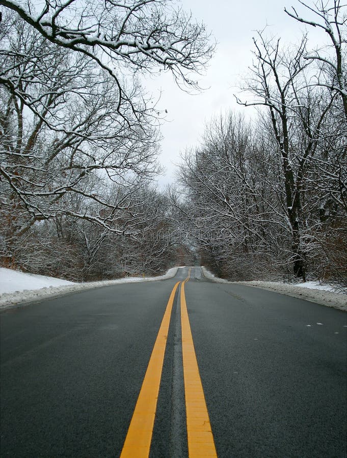 Winter road stock photo. Image of freeway, brunches, landscape - 17594736