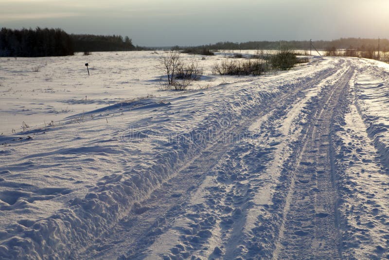 Winter road stock image. Image of bright, cold, grove - 17799513