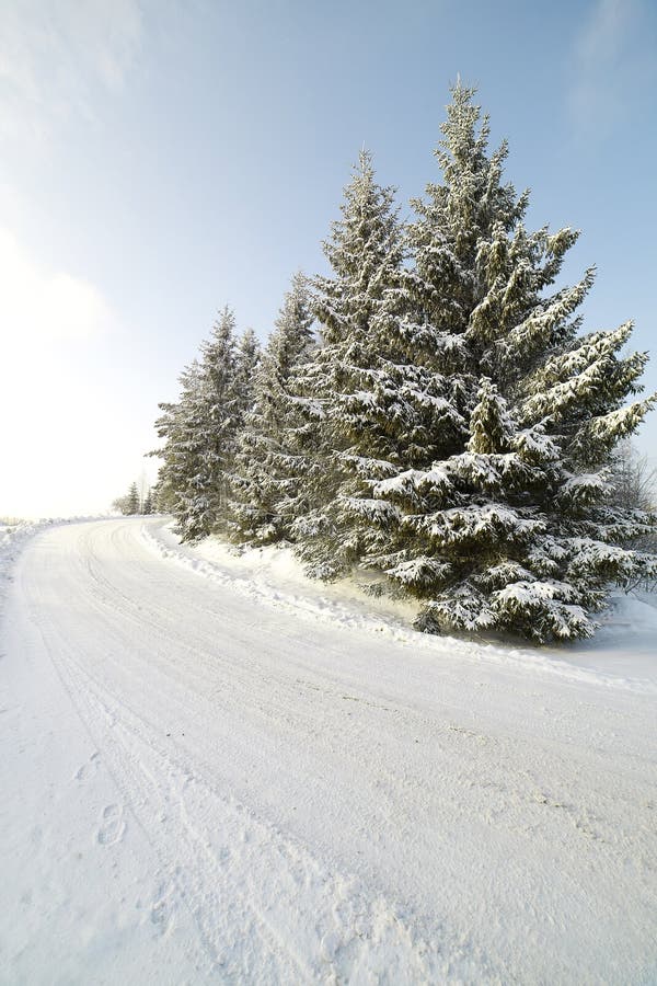 Winter road stock photo. Image of beautiful, lane, cold - 29705562