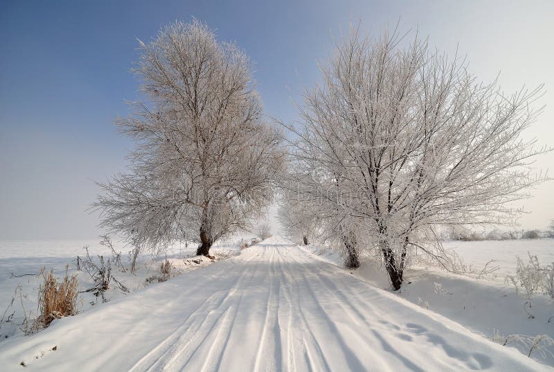 Winter road stock image. Image of hard, track, snowbound - 23204193