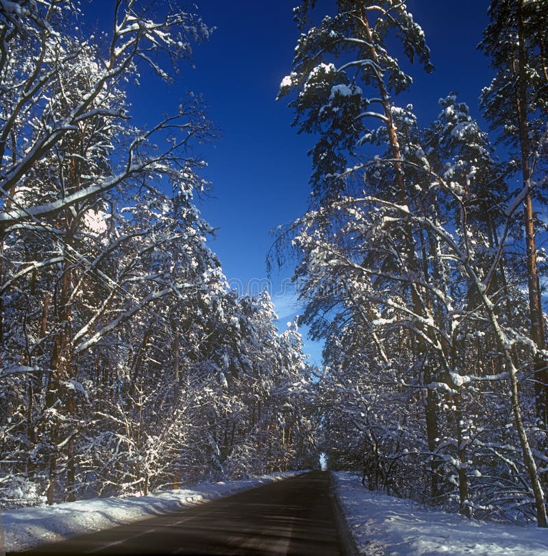 Winter road. stock image. Image of point, season, vanishing - 25845465