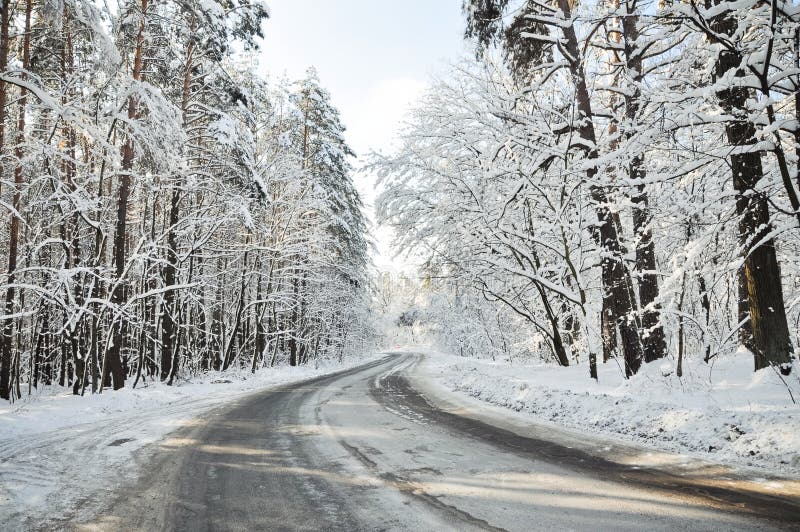 Winter road turn. stock image. Image of sunlight, covered - 26665135