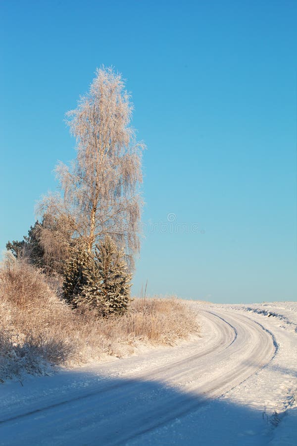 Winter road. stock photo. Image of landscape, snow, white - 28212558