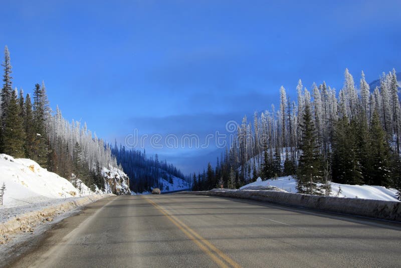 Winter Road in Canadian Rockies Stock Image - Image of escape ...