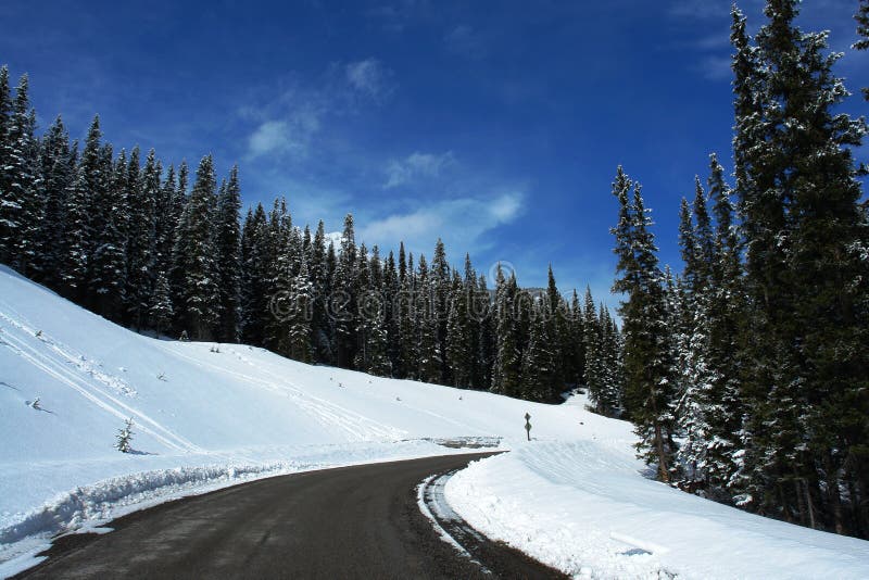 Winter Road in Canadian Rockies Stock Image - Image of rocky, snow: 4407925