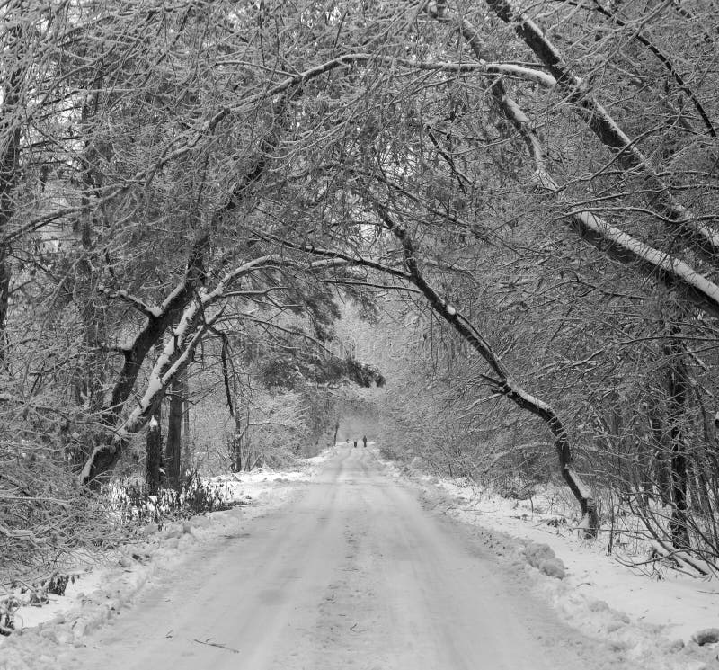 Winter Road in the Countryside Stock Image - Image of snow, tranquil ...