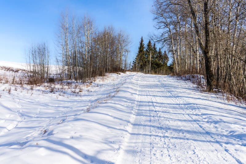 Winter Road Covered with Snow in Rural Alberta with Blue Sky Background ...