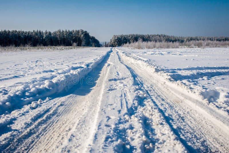 Winter Road in Deep Snow in Winter. through the Field To the Pine ...