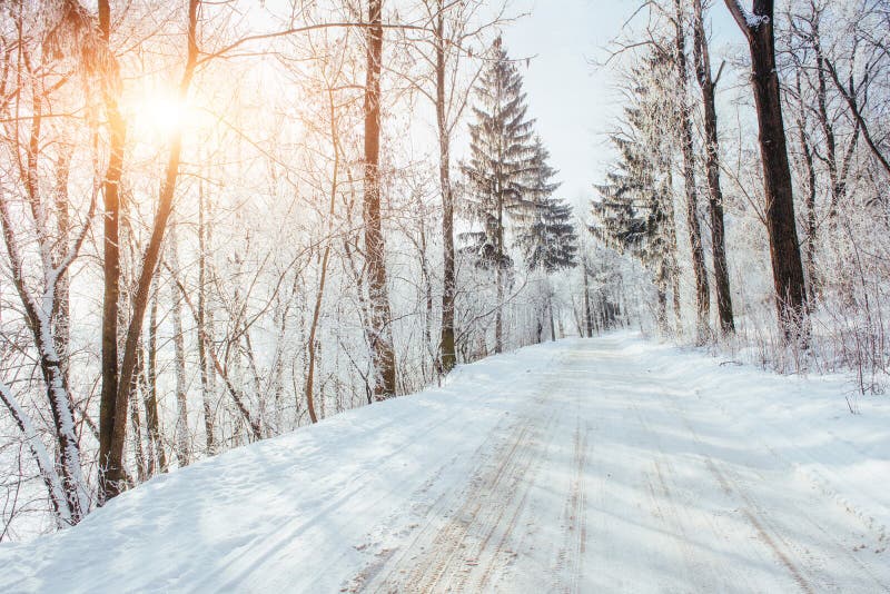 The Winter Road. Dramatic Scene. Carpathian, Ukraine, Europe. Stock ...
