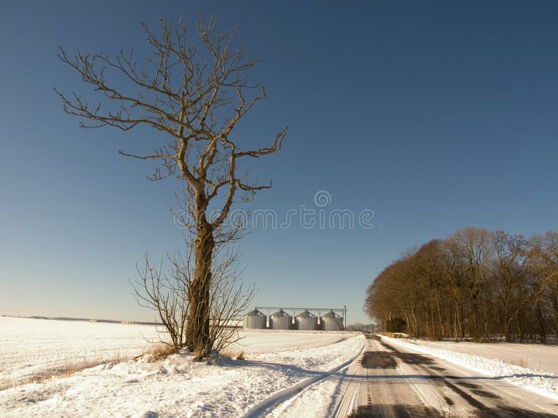 Winter road and farm stock photo. Image of rural, agricultural - 8216792