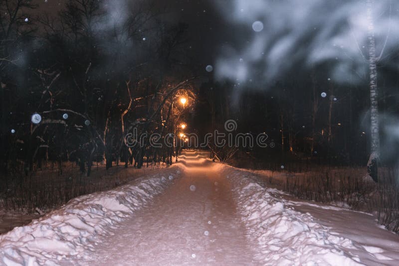 Winter Road in the Forest in the Evening Stock Image - Image of frozen ...