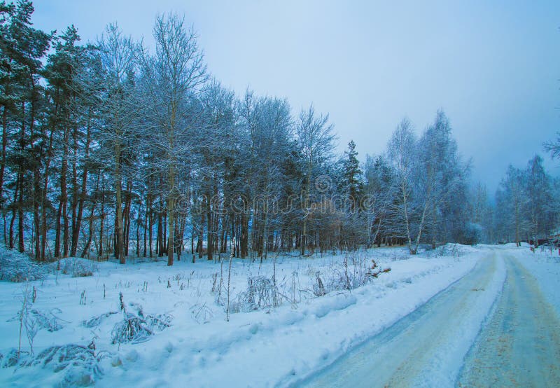 Winter Road in the Forest Twilight Track Stock Photo - Image of drifts ...