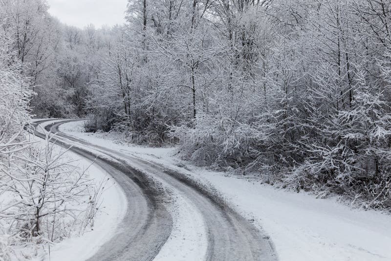 Winter Road through Icy Forest Covered in Snow after Ice Storm and ...