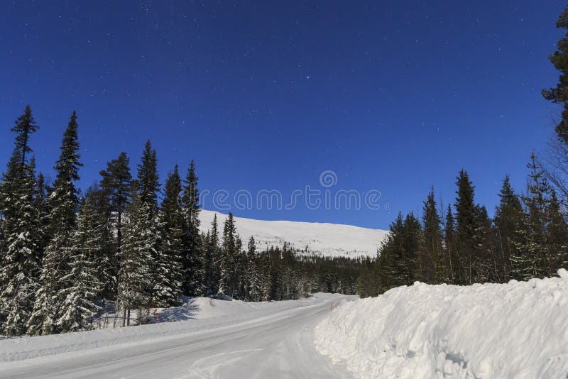 Winter road by night stock image. Image of mystery, frost - 104019159