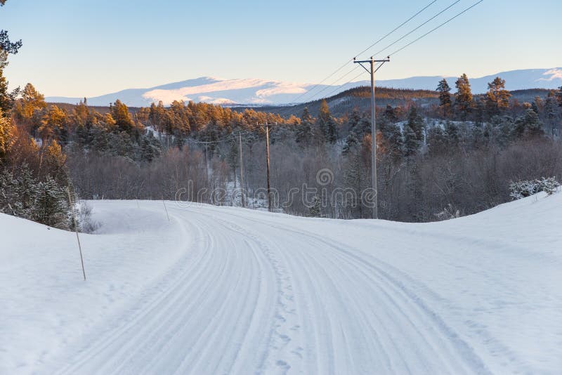 Winter Road with the Power Line at the Side Stock Image - Image of pine ...