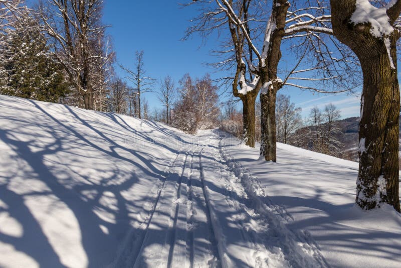 Winter Road Running between the Frozen Trees Stock Image - Image of ...