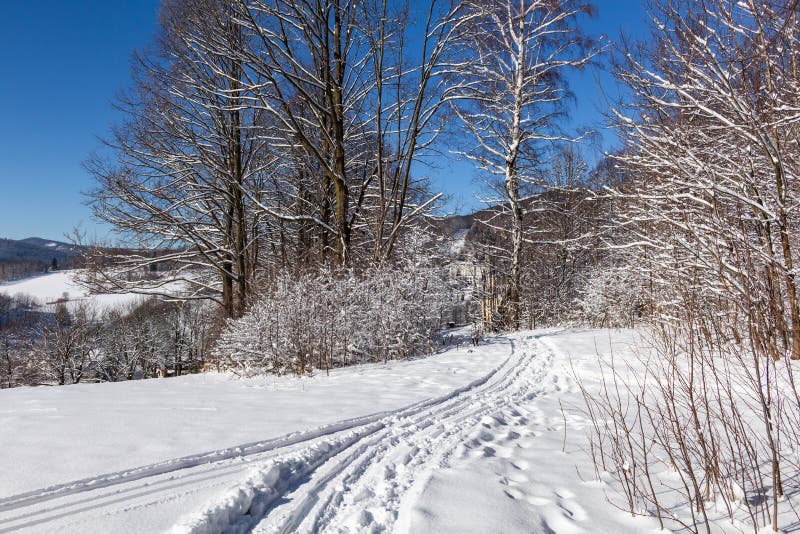 Winter Road Running between the Frozen Trees Stock Image - Image of ...