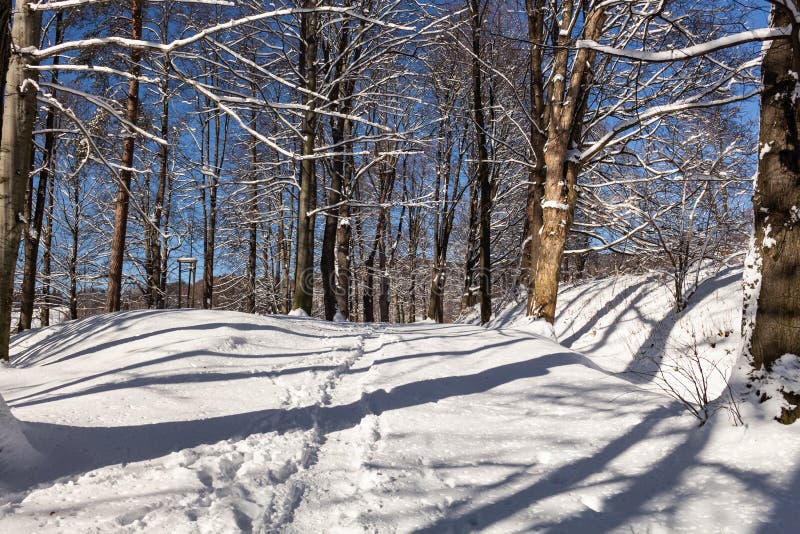 Winter Road Running between the Frozen Trees Stock Image - Image of ...