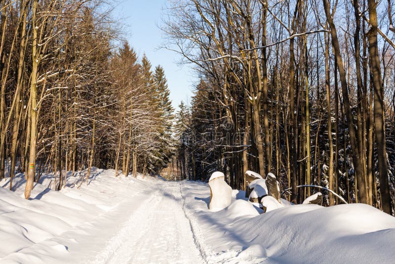 Winter Road Running between the Frozen Trees Stock Image - Image of ...