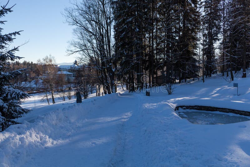 Winter Road Running between the Frozen Trees Stock Photo - Image of ...