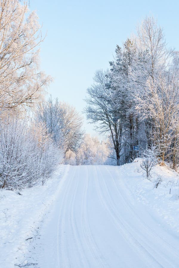 Winter road stock image. Image of landscape, hoar, countryside - 36008341