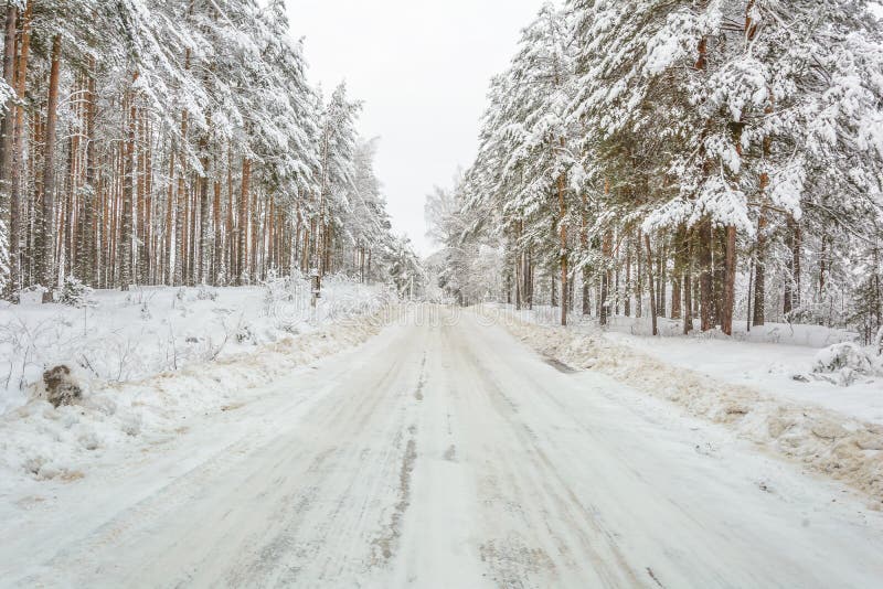 Winter Road, Trees, Snow Day Stock Image - Image of branches, road ...