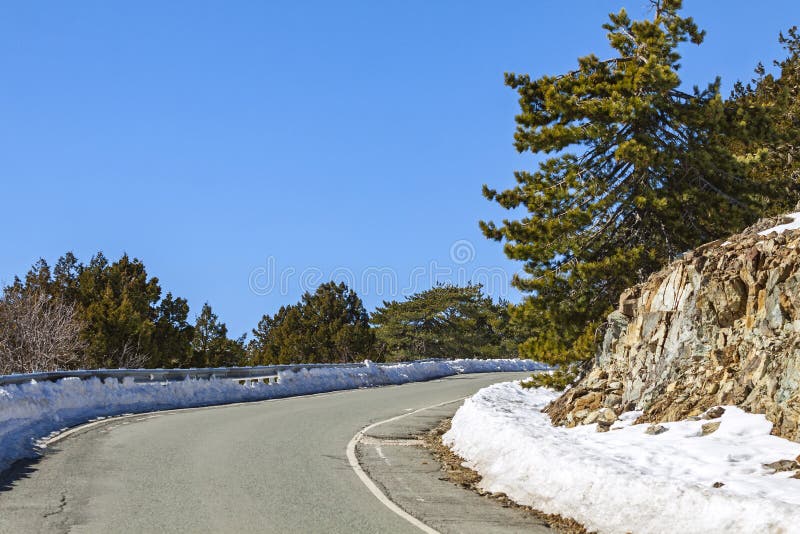 Pine-trees on a Mountains Slope Stock Photo - Image of rocky, park ...