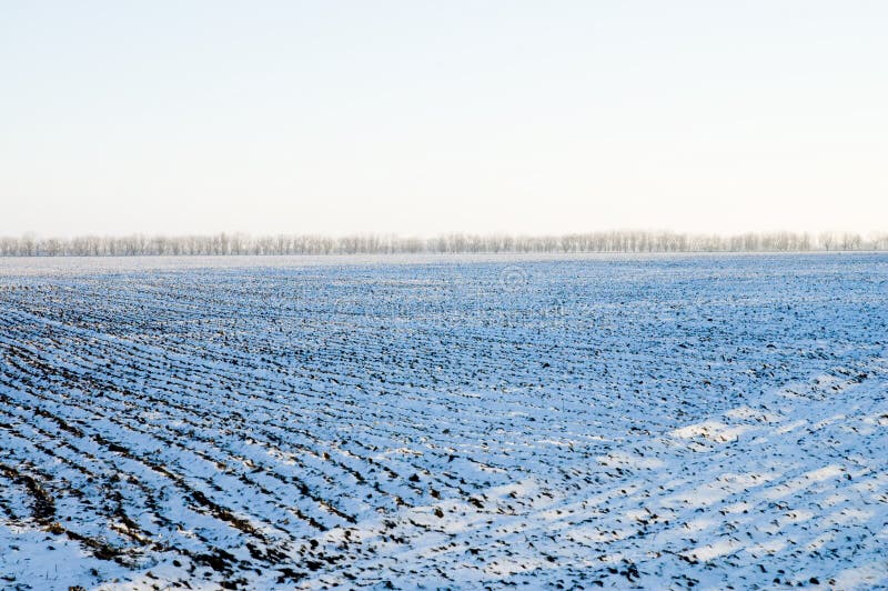 Winter rows stock photo. Image of north, ditch, agriculture - 7625846