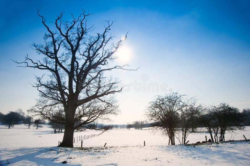 Winter Rural Countryside Landscape Stock Image - Image of bright ...