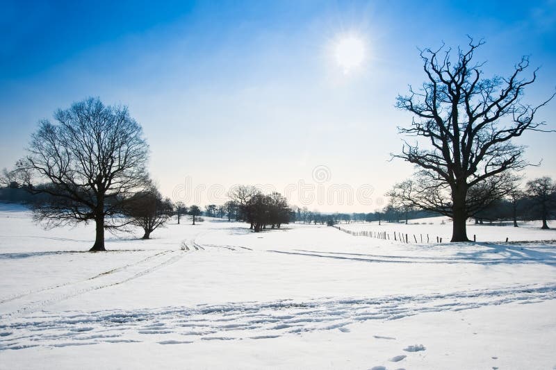 Winter Rural Countryside Landscape Stock Photo - Image of snow, blue ...