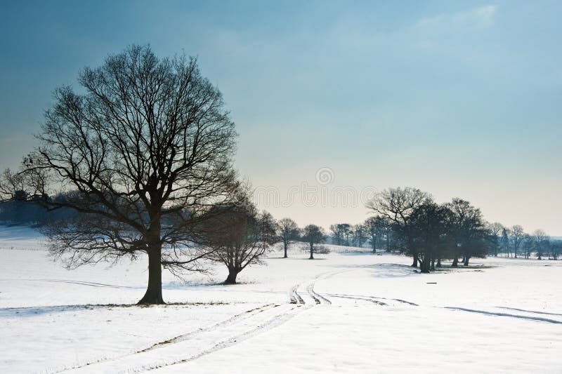 Winter Rural Countryside Landscape On Bright Blue Sky Day In Heavy Snow ...