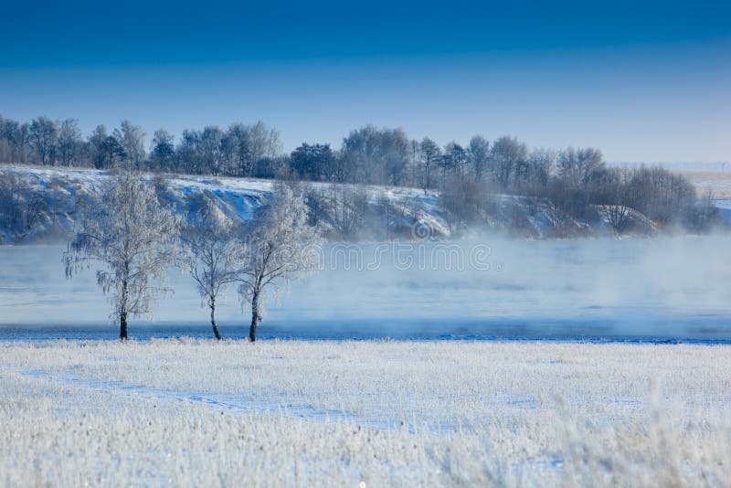 Winter rural landscape. stock photo. Image of fine, season - 17781598