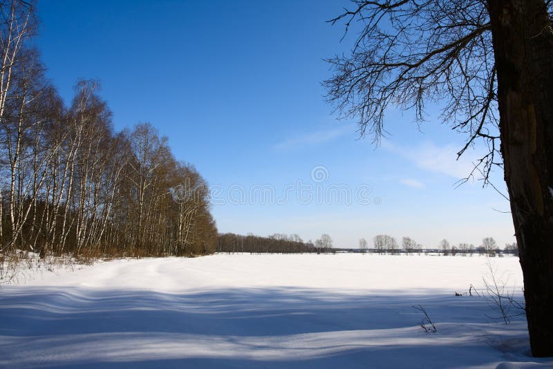Winter rural landscape. stock photo. Image of urban, seasons - 8302276