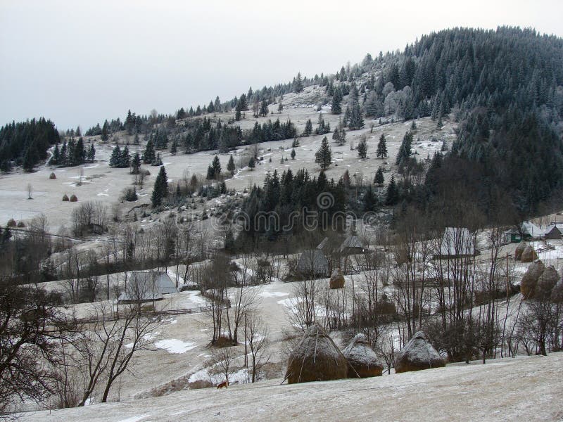 Winter rural landscape stock photo. Image of bush, panorama - 48661772