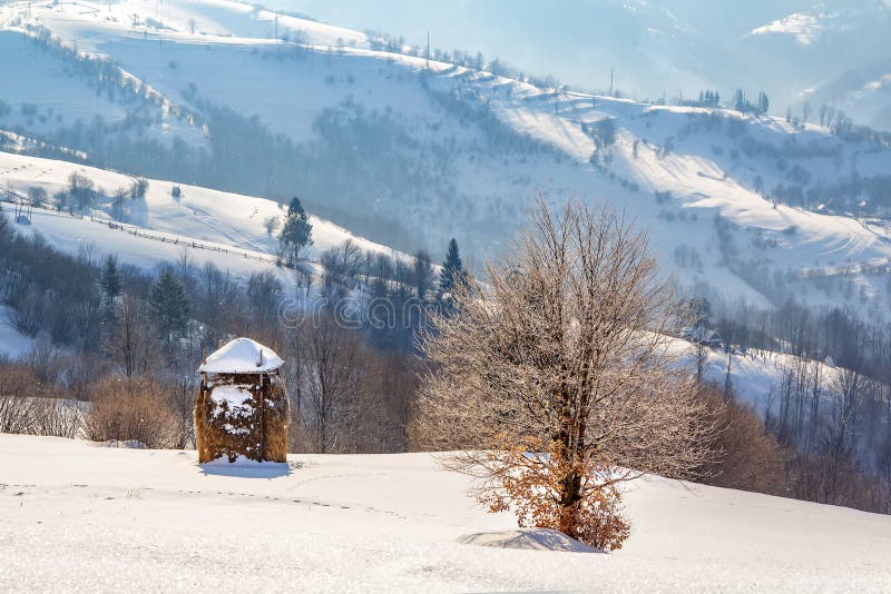 Winter Rural Landscape, Haystack and Lonely Tree on the Backgr Stock ...