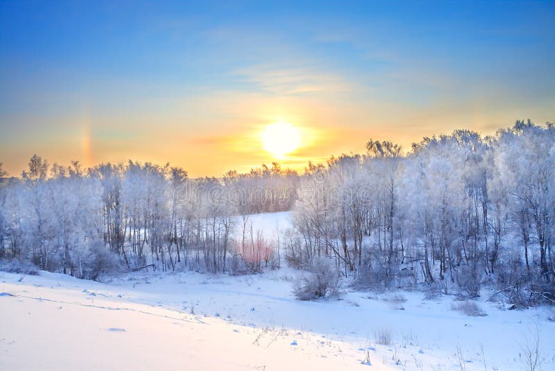 Winter Rural Road on Forest Stock Image - Image of focus, blizzard ...