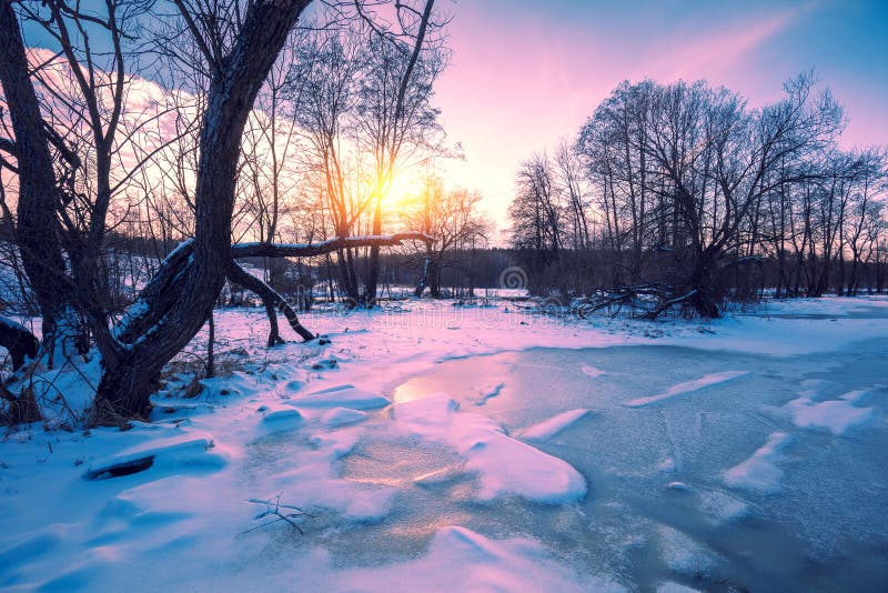 Winter Rural Landscape during Sunset Stock Photo - Image of lake, tree ...