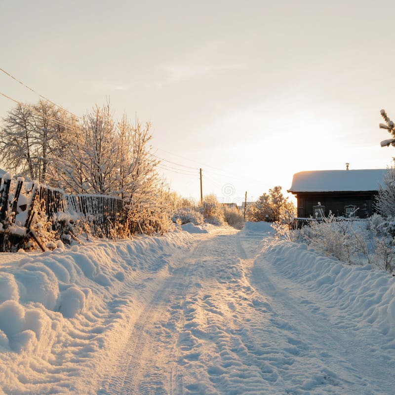 Winter Rural Road and Trees in Snow Stock Photo - Image of frost ...