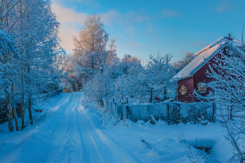 Winter Rural Road and Trees in Snow Stock Photo - Image of life, bend ...