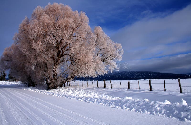 Winter Rural Scene 4 stock image. Image of fenceline, road - 3922545